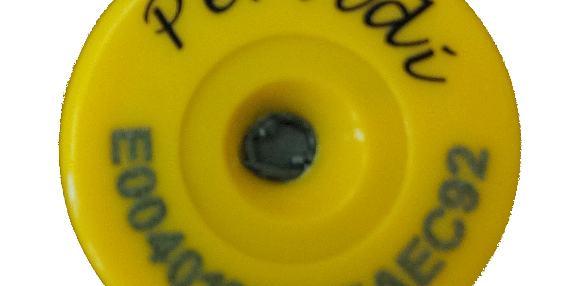 Techs4Biz Announces Pervidi Version 6 – Including Seamless RFID And ...
